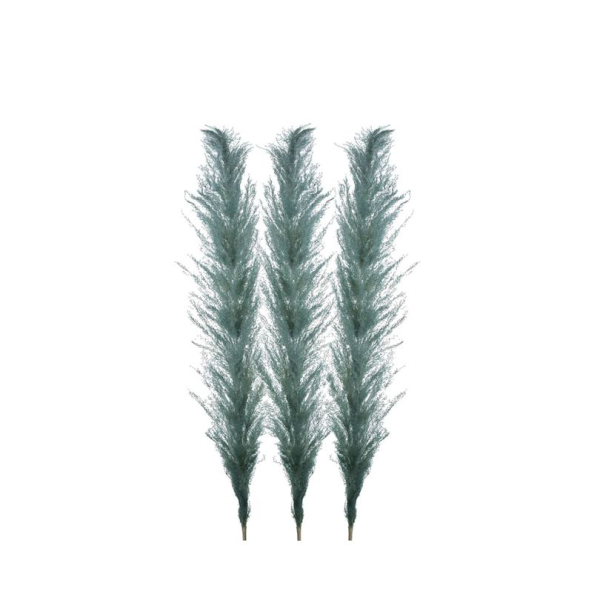 Pampas | Αποξηραμένα Λουλούδια | Spitishop.gr
